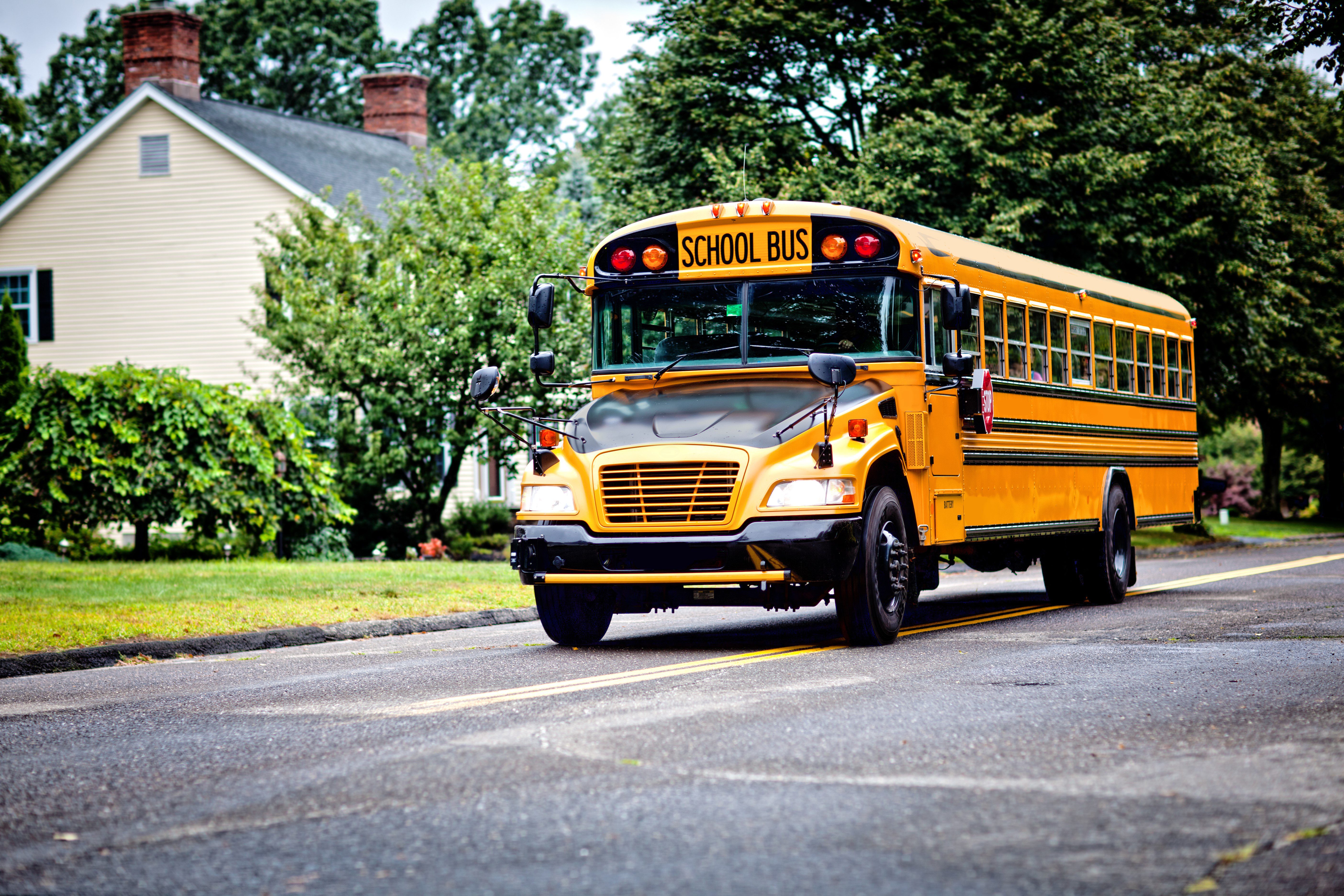 How Much Do School Bus Drivers Make In Alabama School Walls how-much-do-school-bus-drivers-make-in-alabama-school-walls